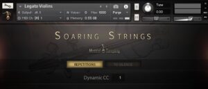 Soaring Strings - Great String Samples & Libraries | Musical Sampling