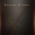 Soaring Strings - Great String Samples & Libraries | Musical Sampling